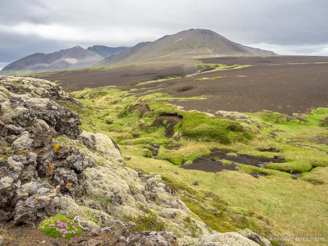 Berserk Lava Field, Iceland