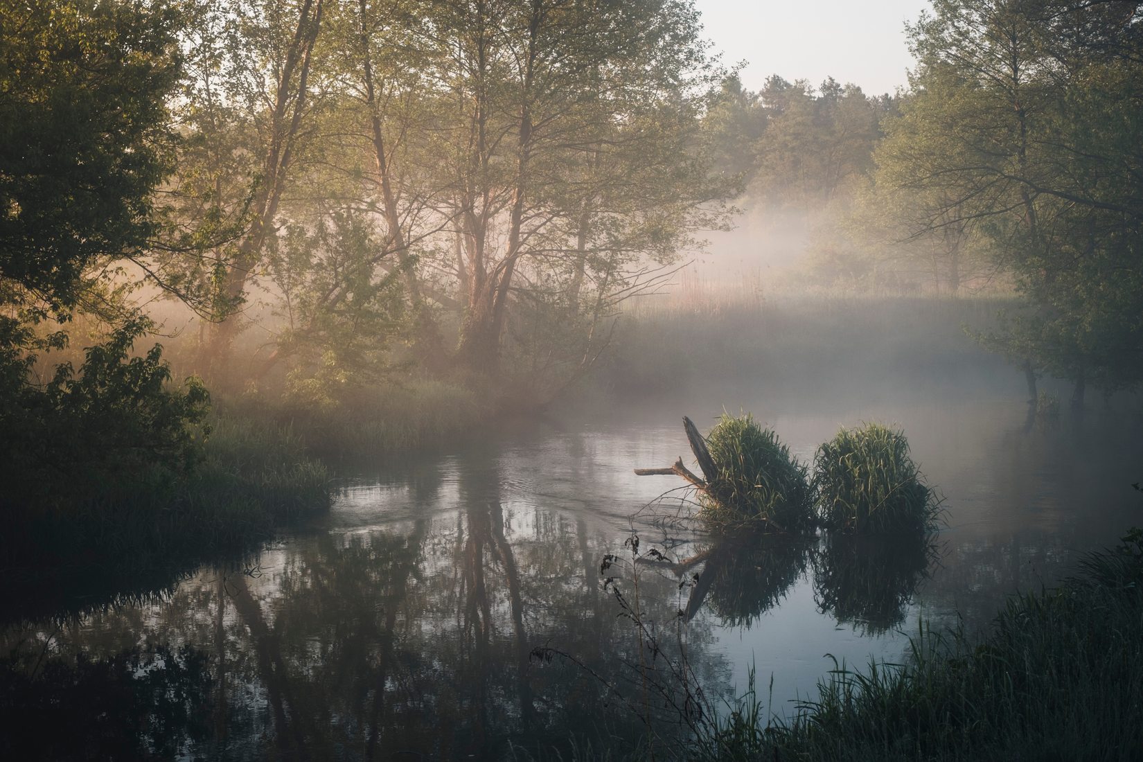 Świder River, Poland