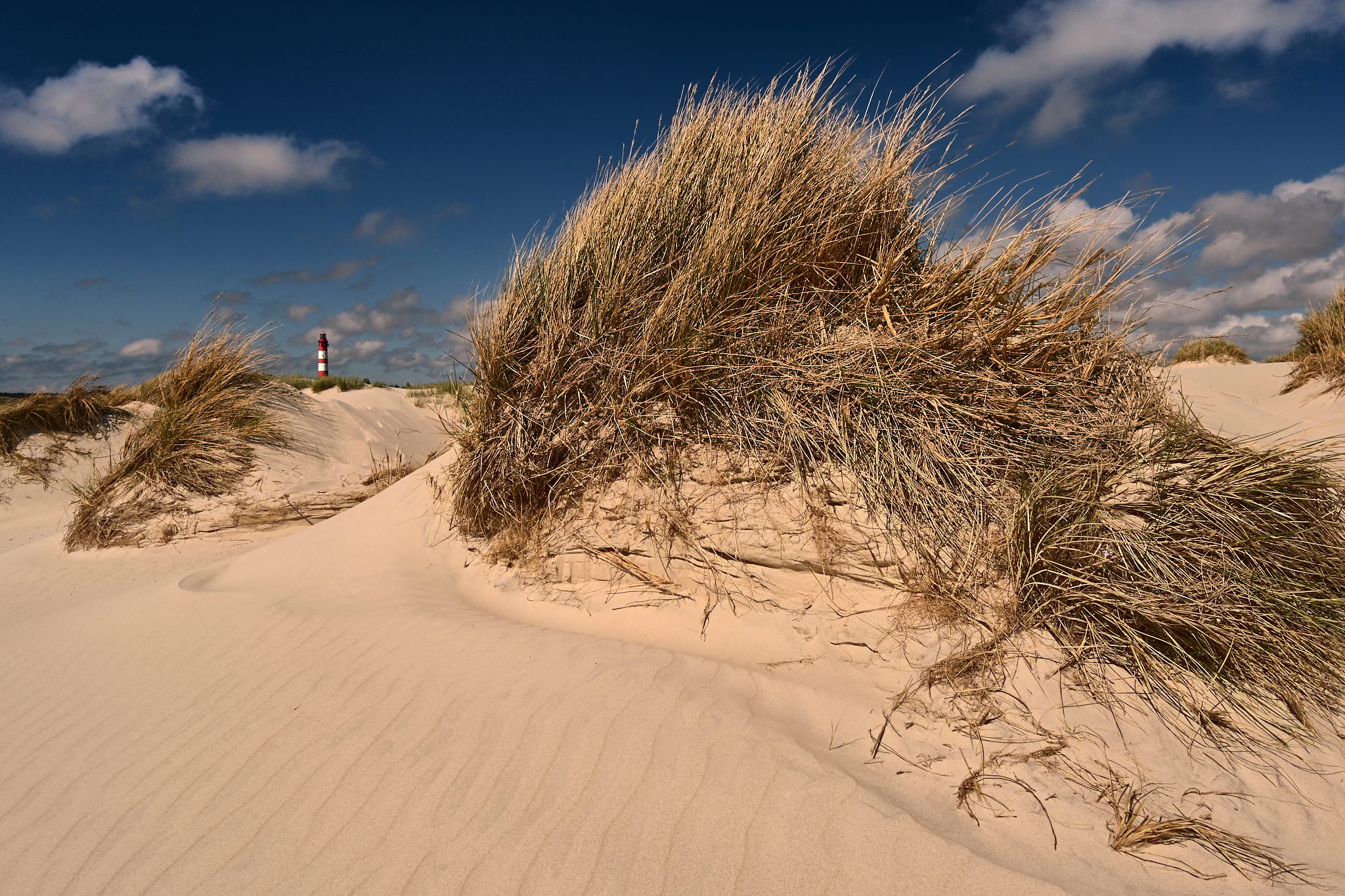 Amrum - Dünenweg bei Wittdün, Germany Amrum - Dünenweg bei Wittdün, Germany