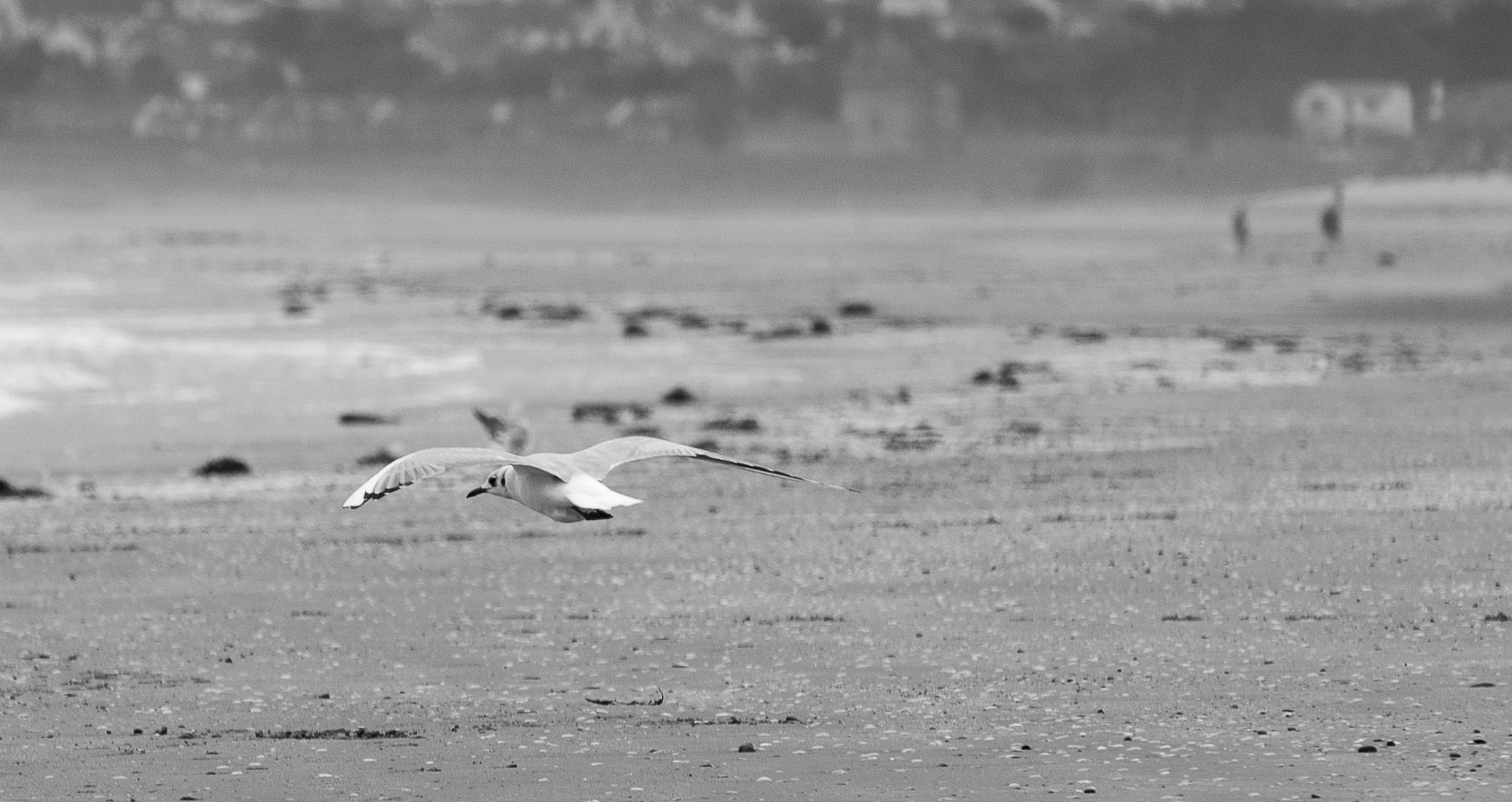 Donabate Beach, Ireland