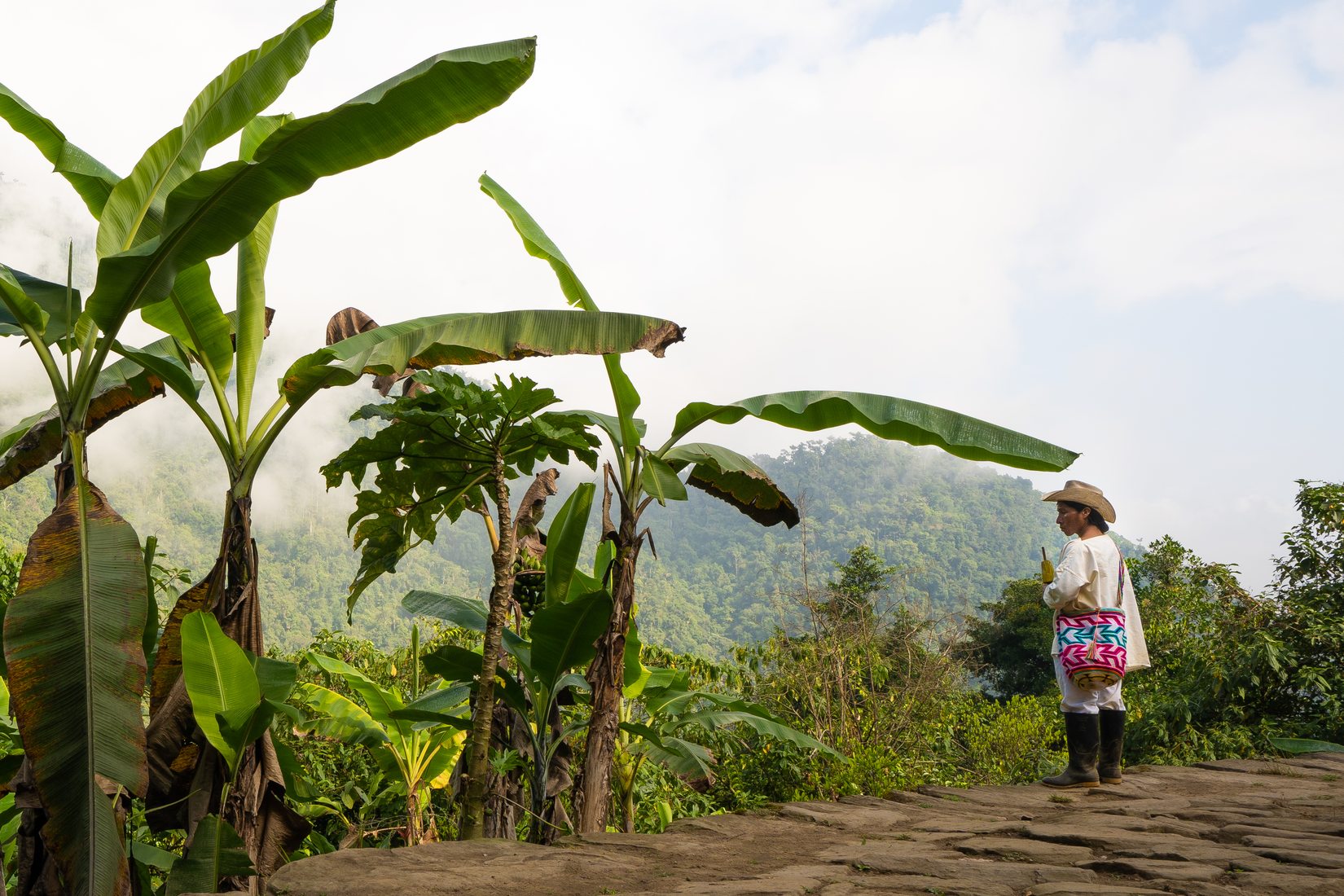 Ciudad Perdida, Colombia