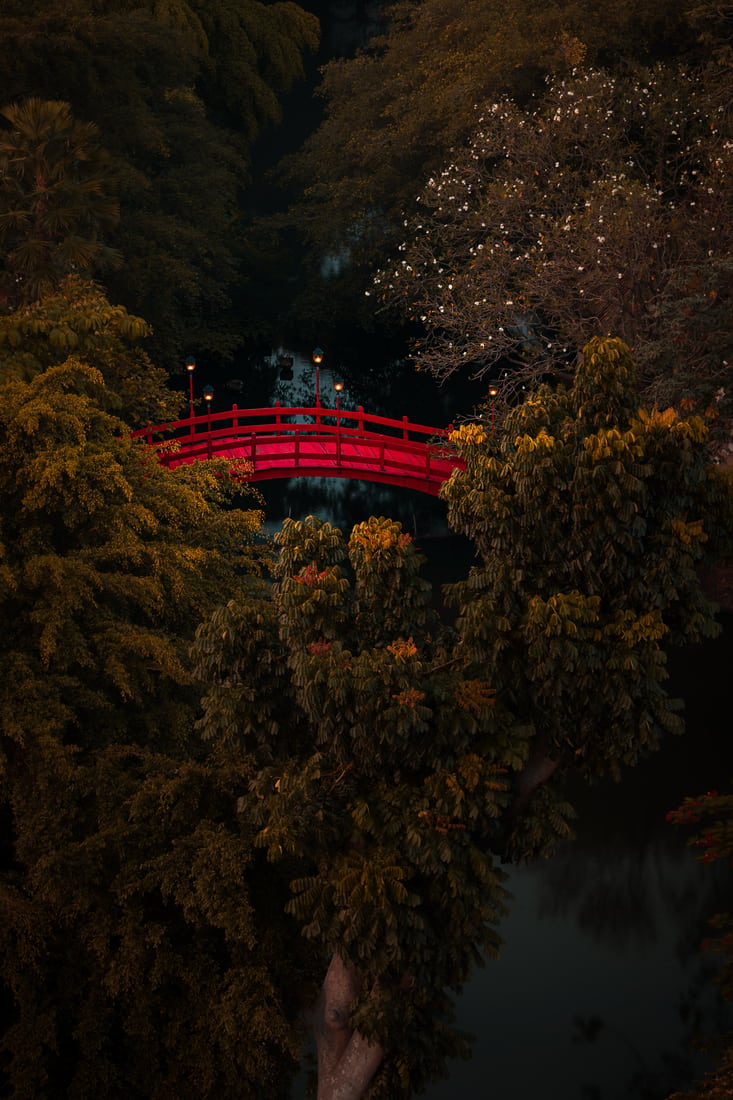 Red Bridge at Sultan Hotel, Indonesia