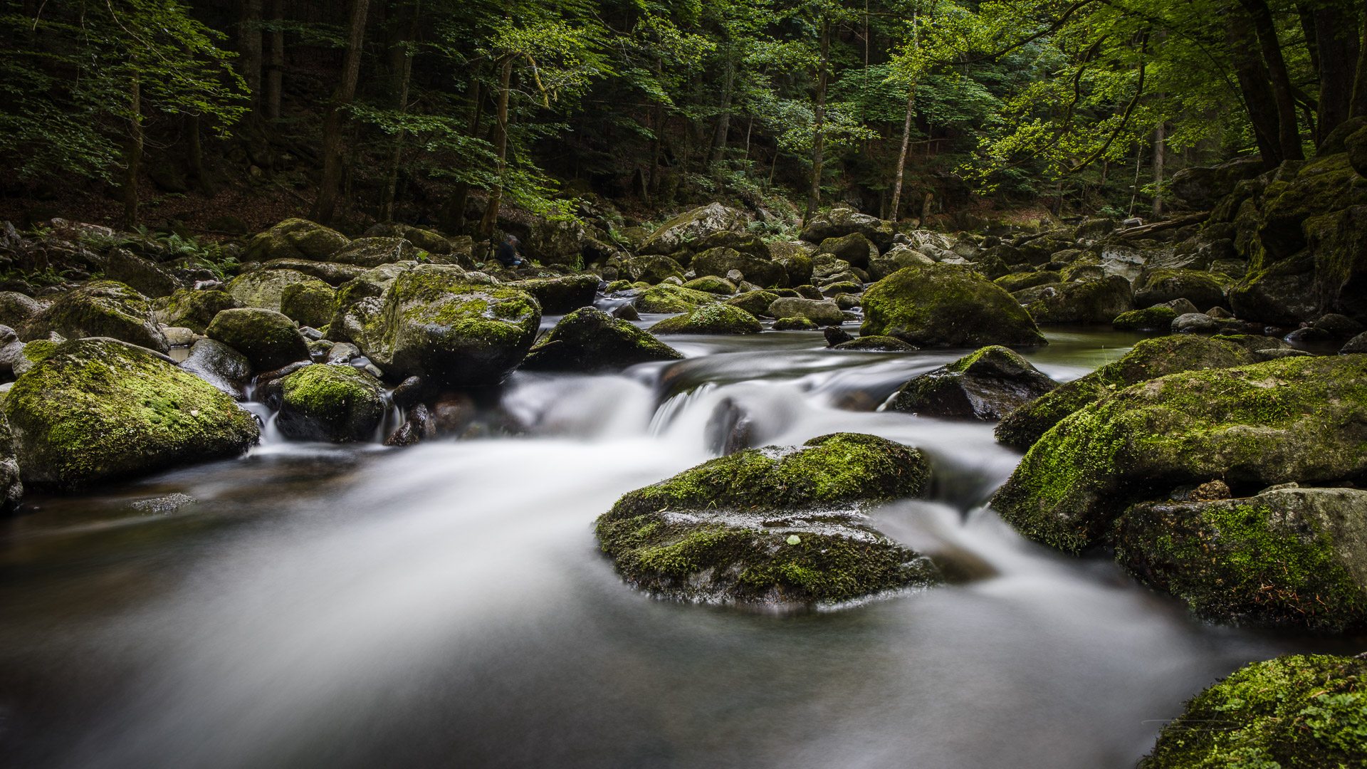 Fabelhafte Wildbachklamm Buchberger Leite Fotos