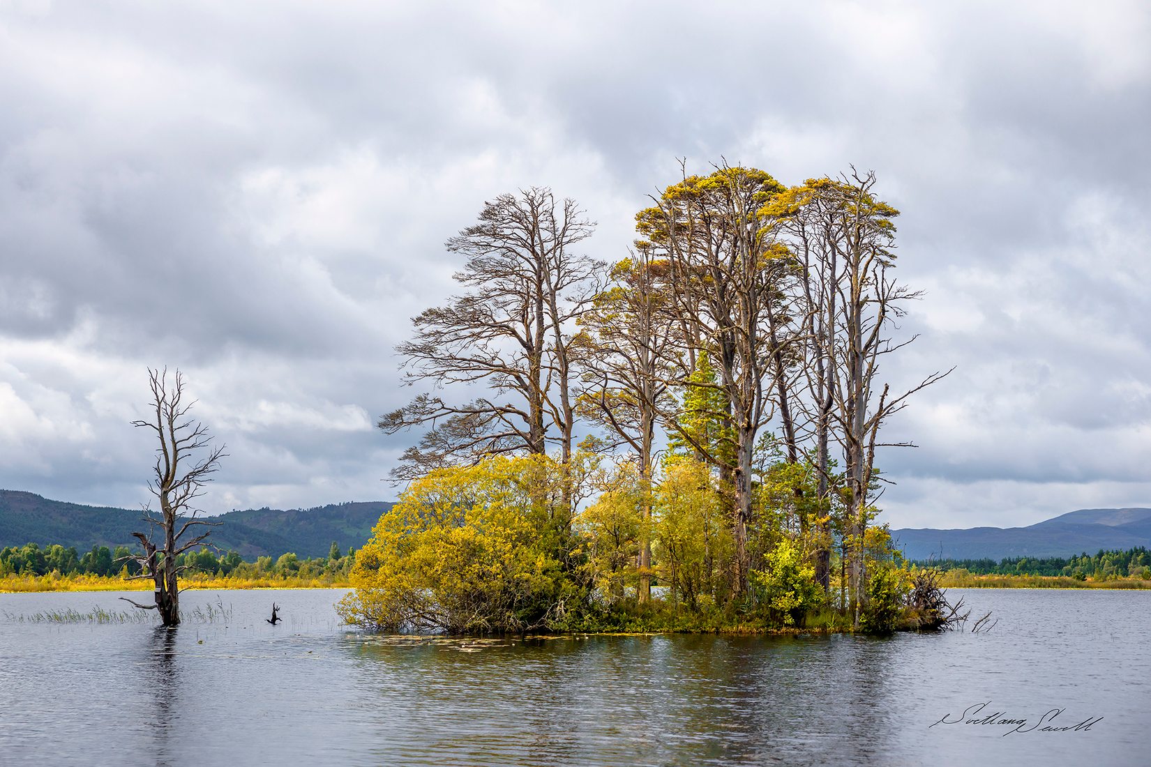 Loch Garten, United Kingdom