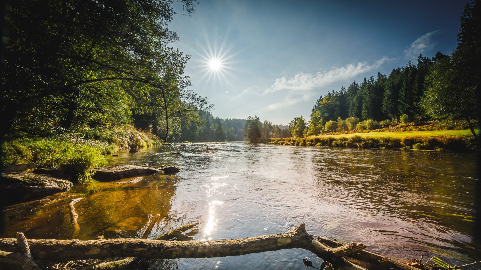 River 'schwarzer Regen' near Teisnach-Bavarian Forest, Germany