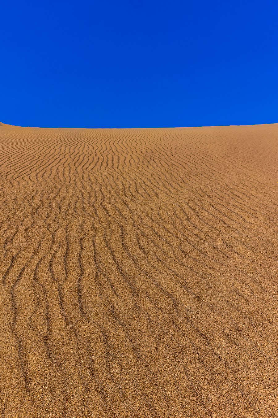 Top Photo Spots at Great Sand Dunes National Park & Preserve in 2026