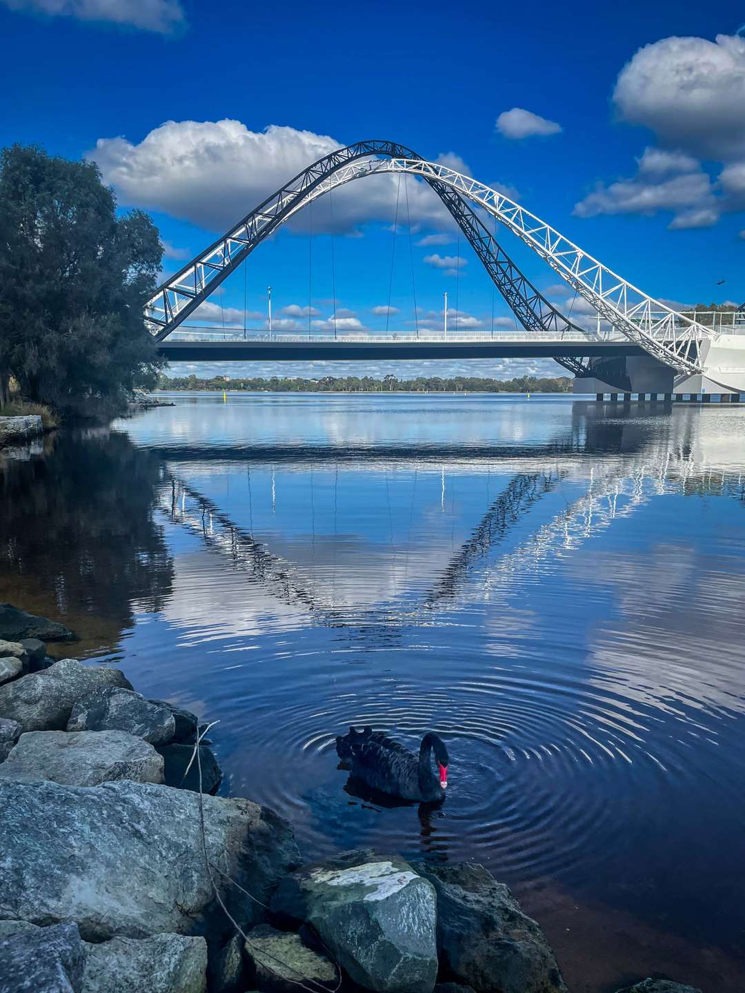 Top 2 Photo Spots at the Matagarup Bridge in 2026