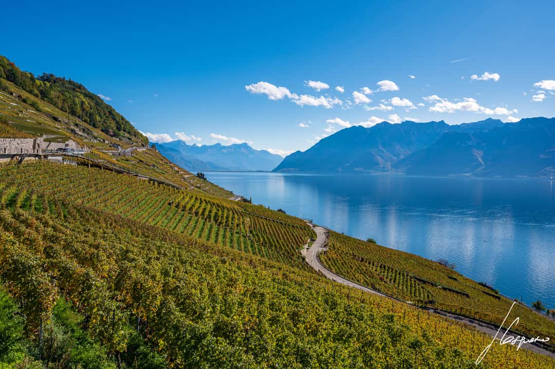 Lavaux-Epesses, Switzerland