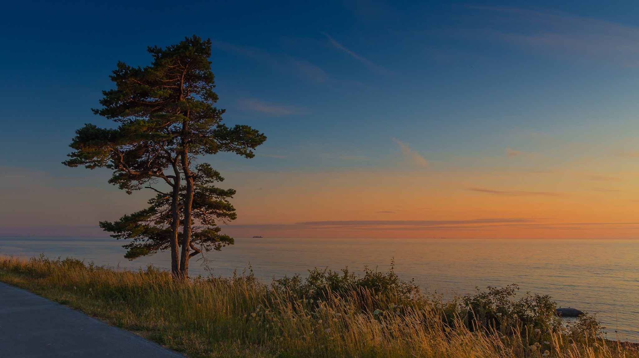 Top Photo Spots at Tofta Södra in 2023