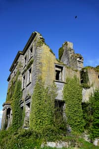 Top Photo Spots at Tyrone House in 2023