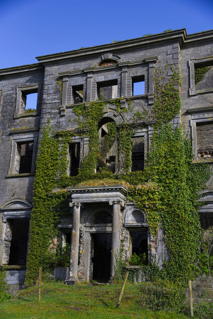 Tyrone House Ruin, Ireland