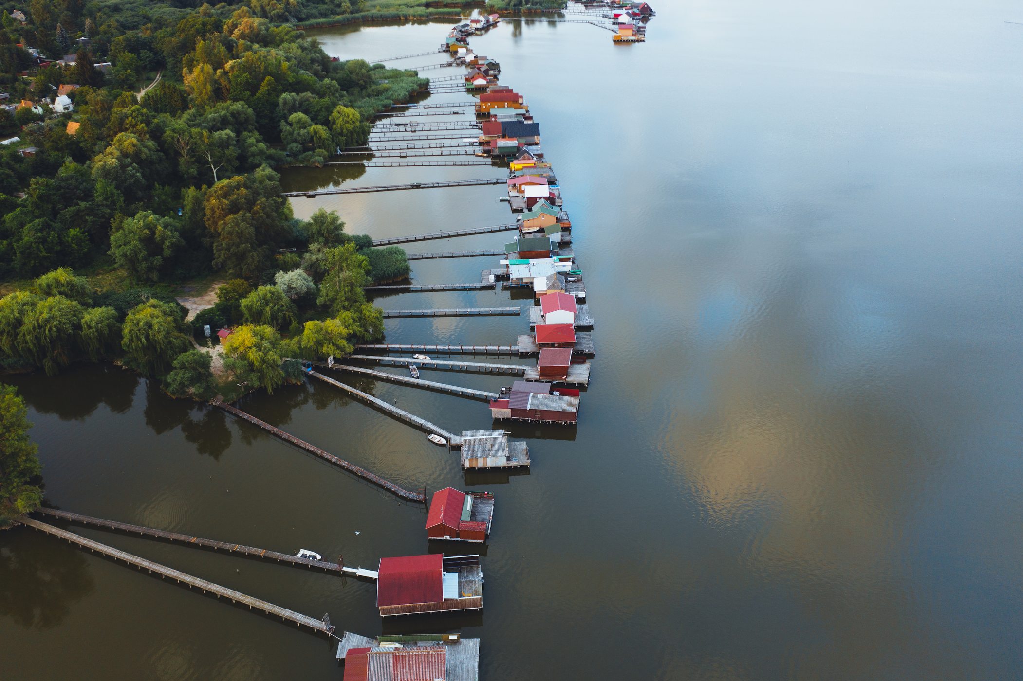 Top Photo Spots at Bokodi in 2023