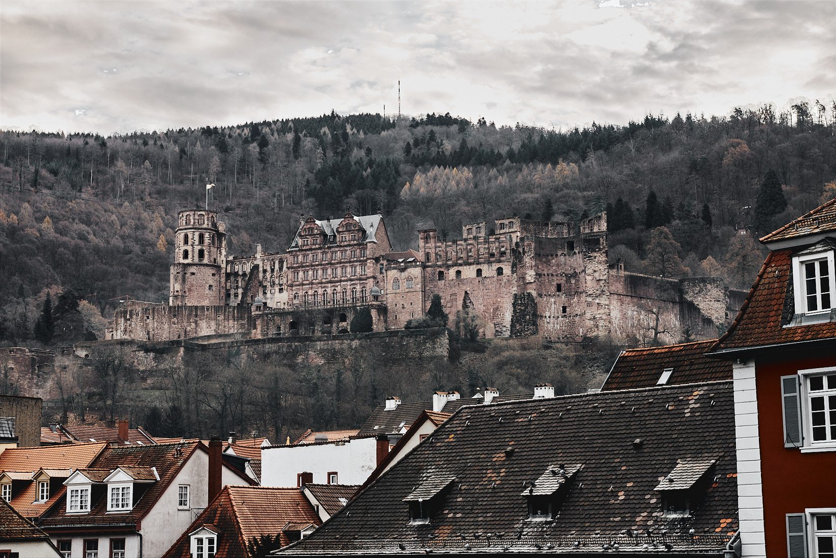 Heidelberg Cityview, Germany