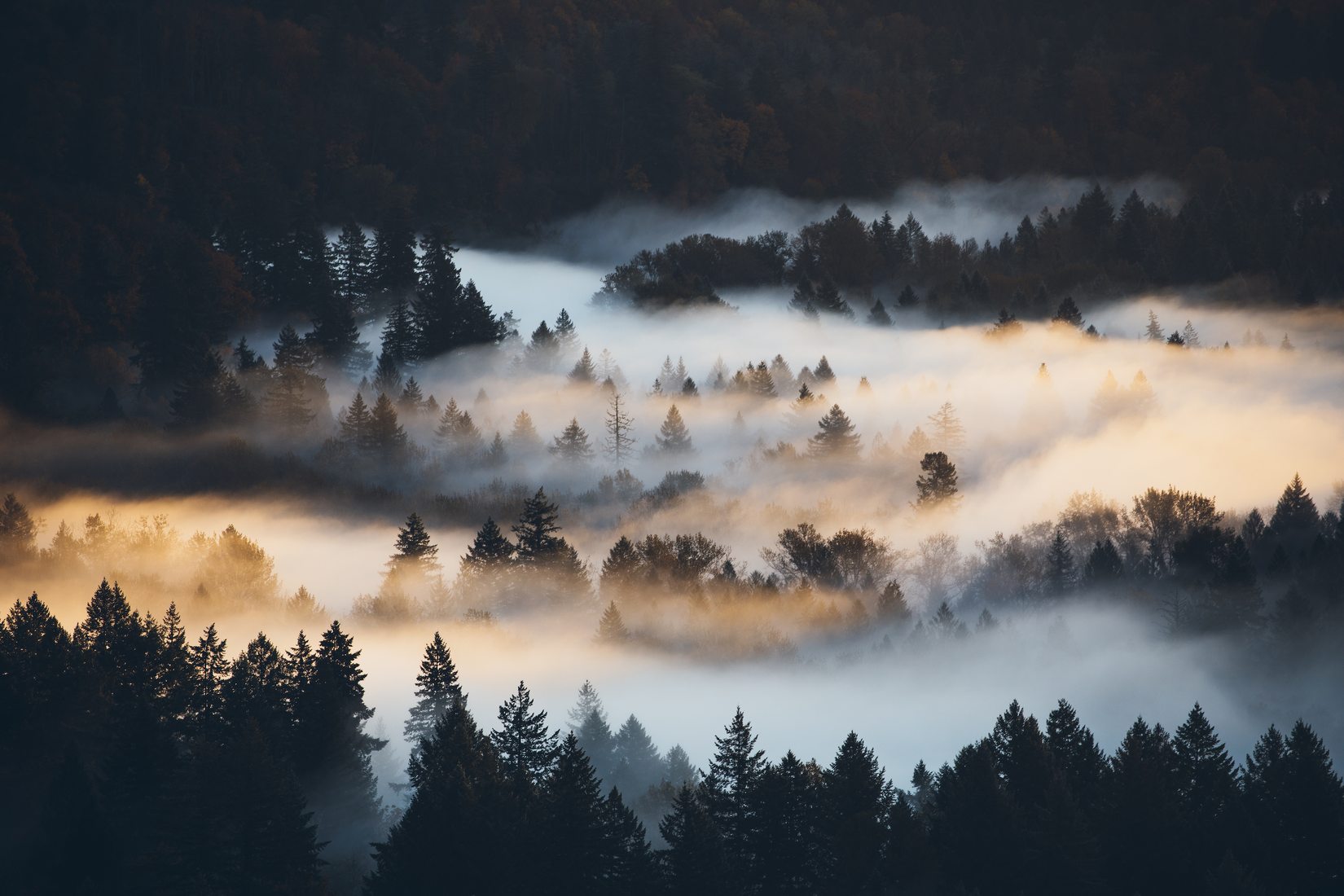 Jonsrud Viewpoint, USA