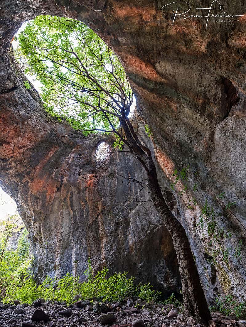 The Tree Cave, Bulgaria