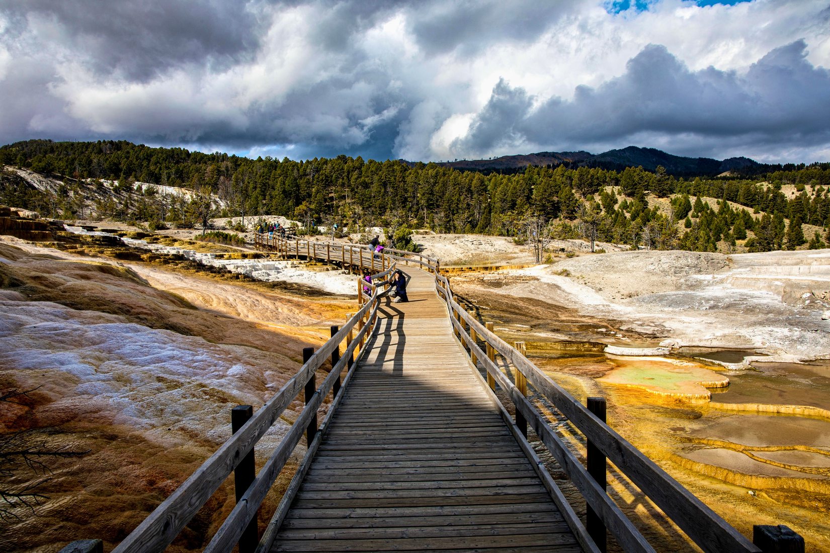 Minerva Terrace at Mammoth Hot Springs, USA