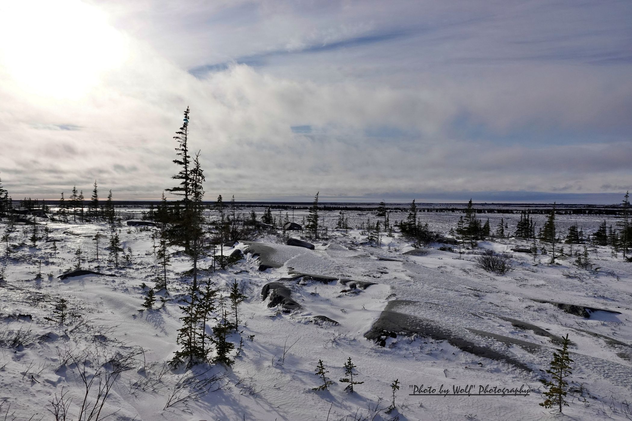 Top Photo Spots at Churchill in 2024
