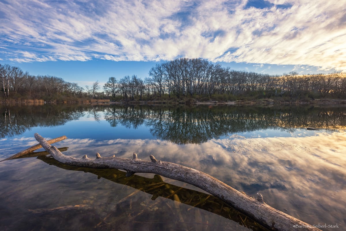 Top Photo Spots at Lobau in 2024