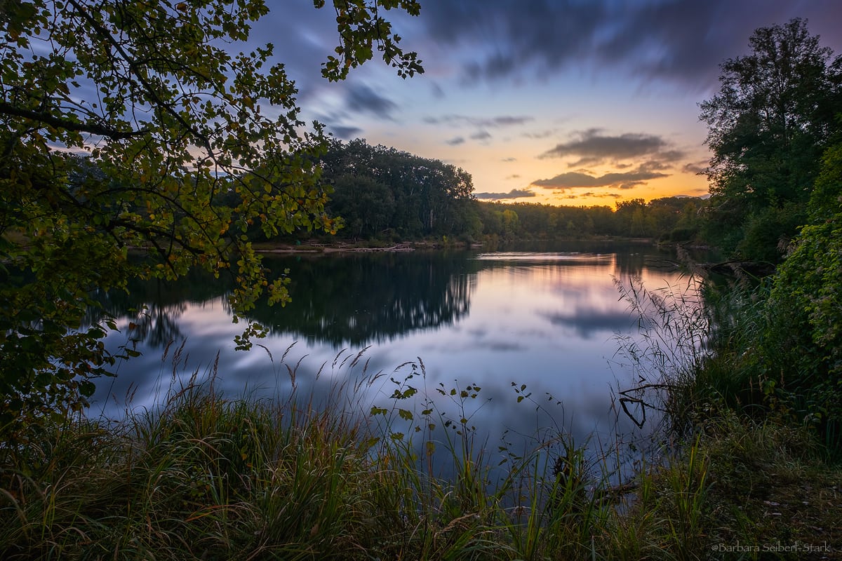 Top Photo Spots at Lobau in 2024