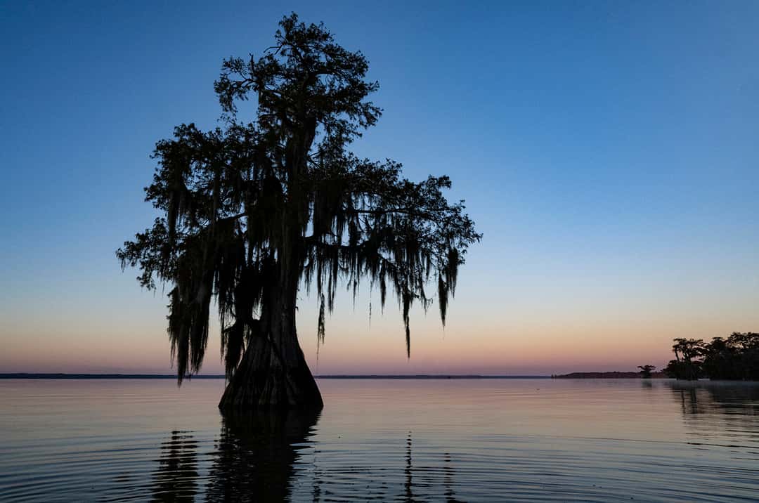 Lake Fausse Pointe State Park, USA