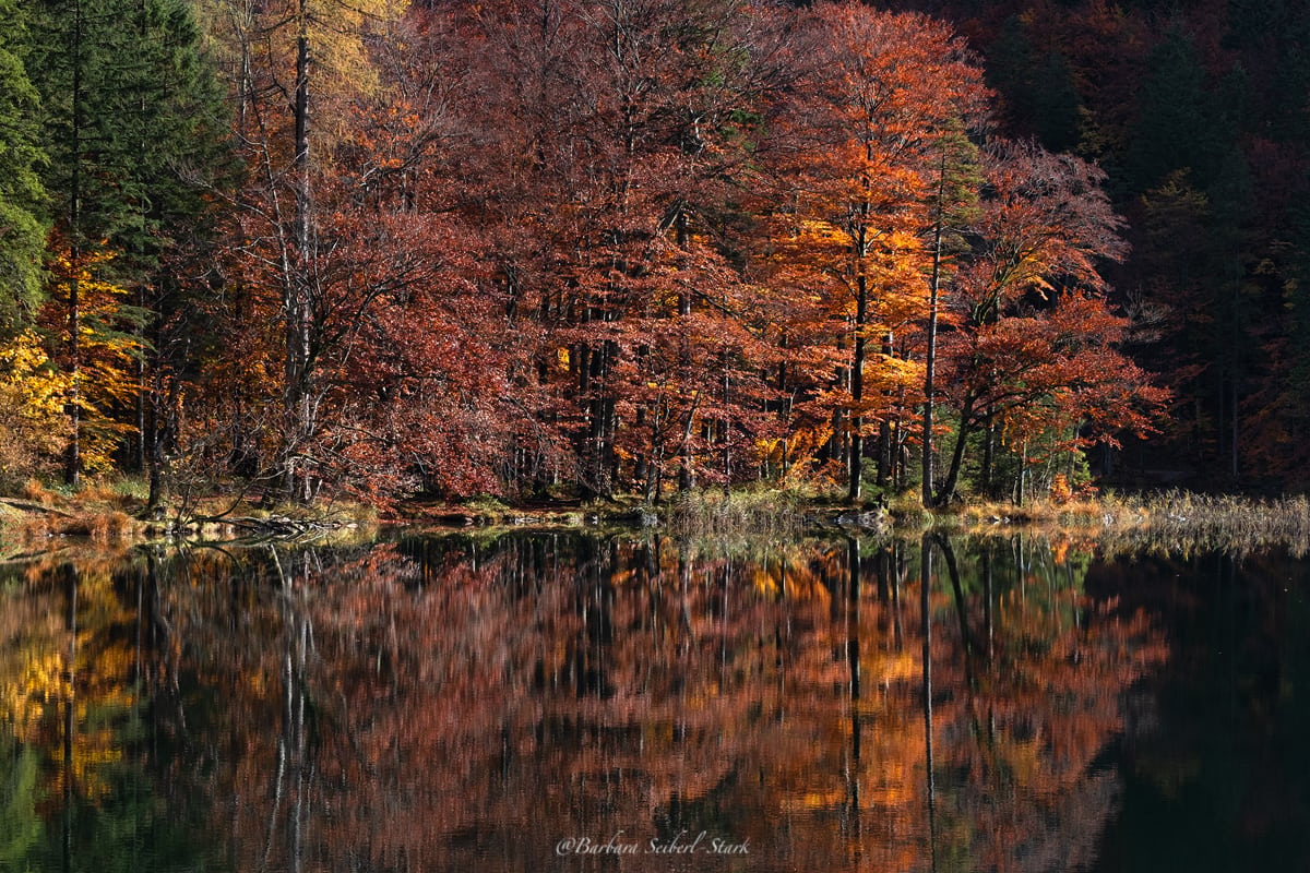 Langbathseen, Austria