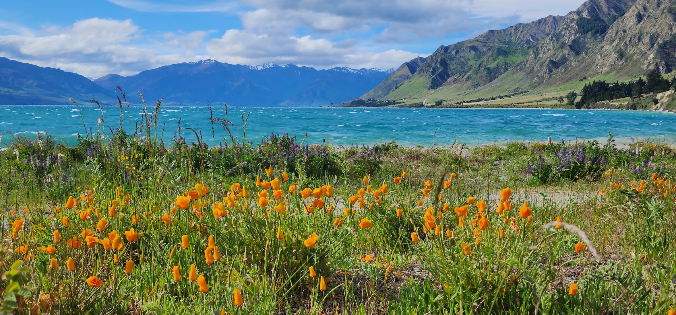 Gladstone, Lake Hawea, New Zealand