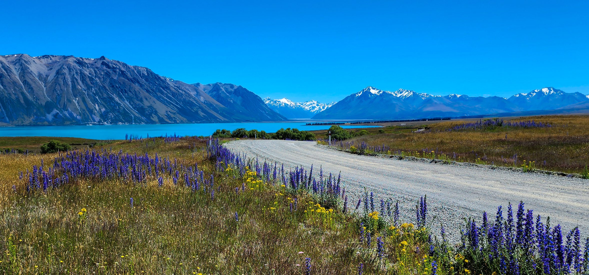 Lilybank Road, Lake Tekapo, New Zealand