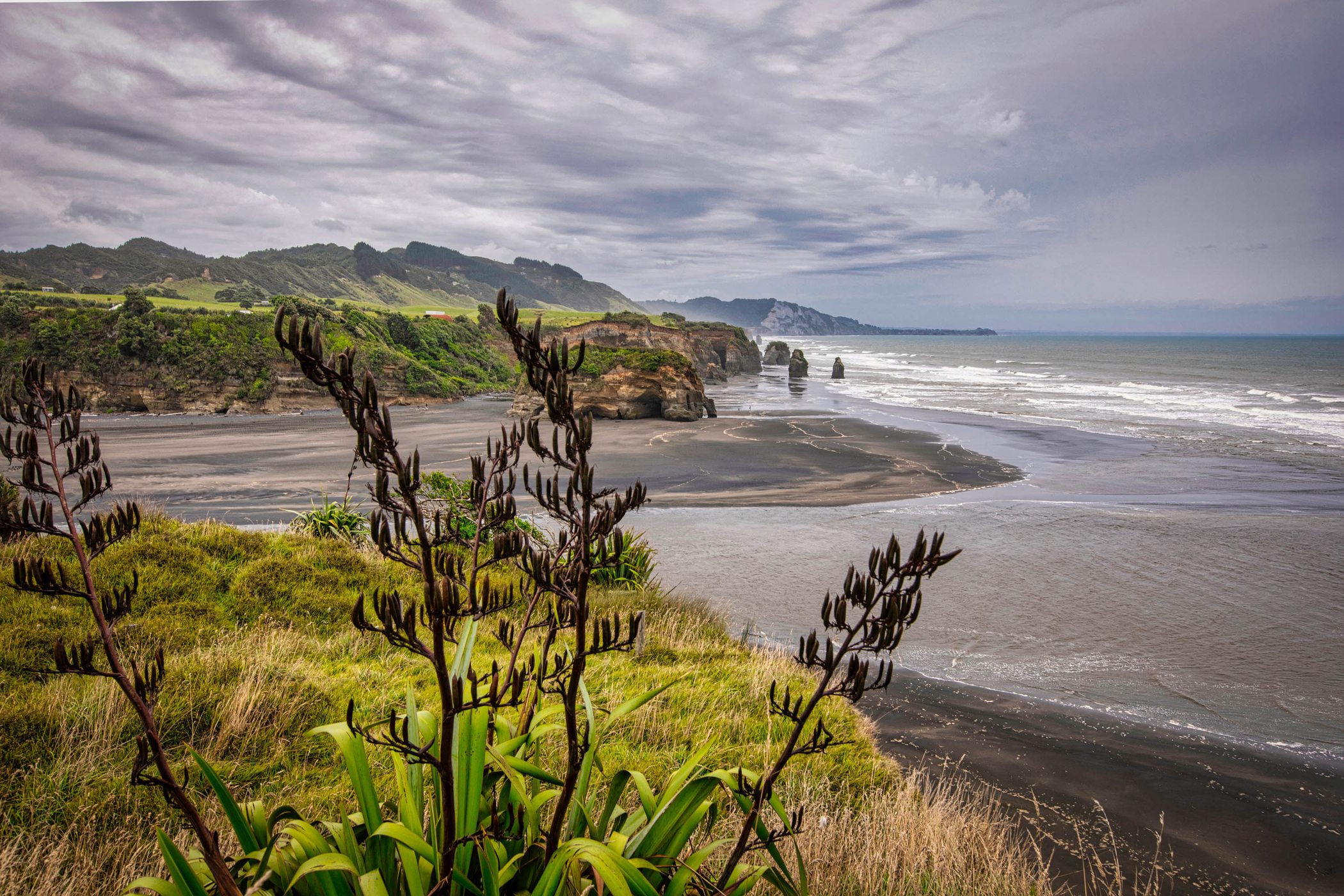 Top Photo Spots at Tongaportu River in 2024