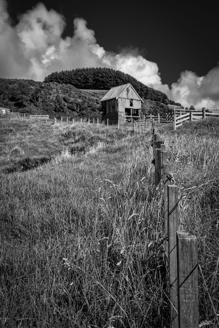 Small farm Shed, Mokau, North Island, New Zealand
