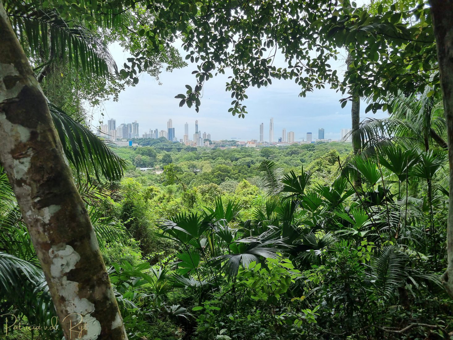 Parque natural metropolitano & Ancon Hill, Panama