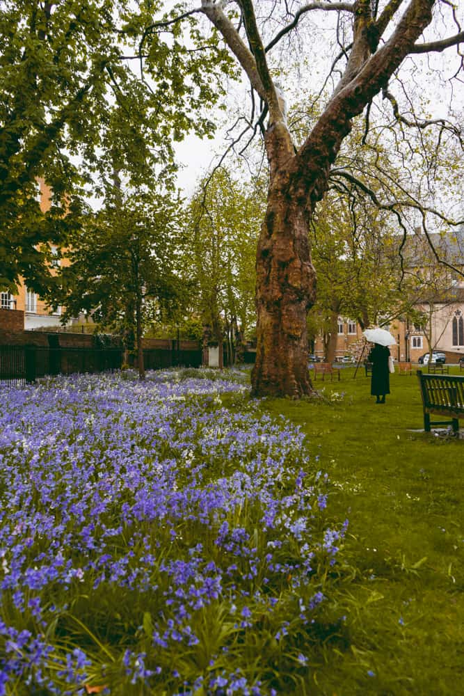 Oratory Gardens, United Kingdom
