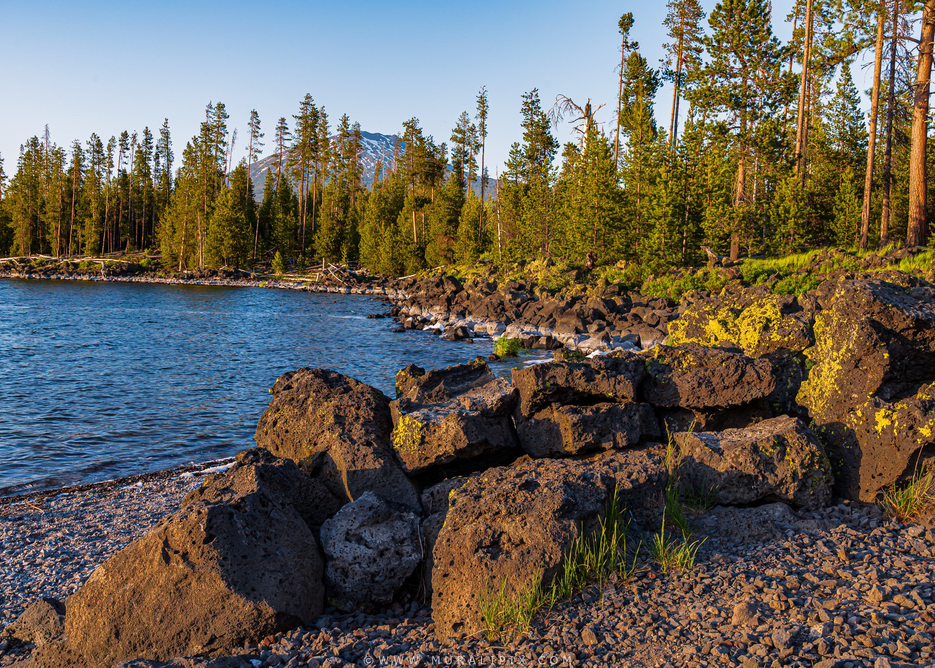 Top Photo Spots at Lava Lake in 2024