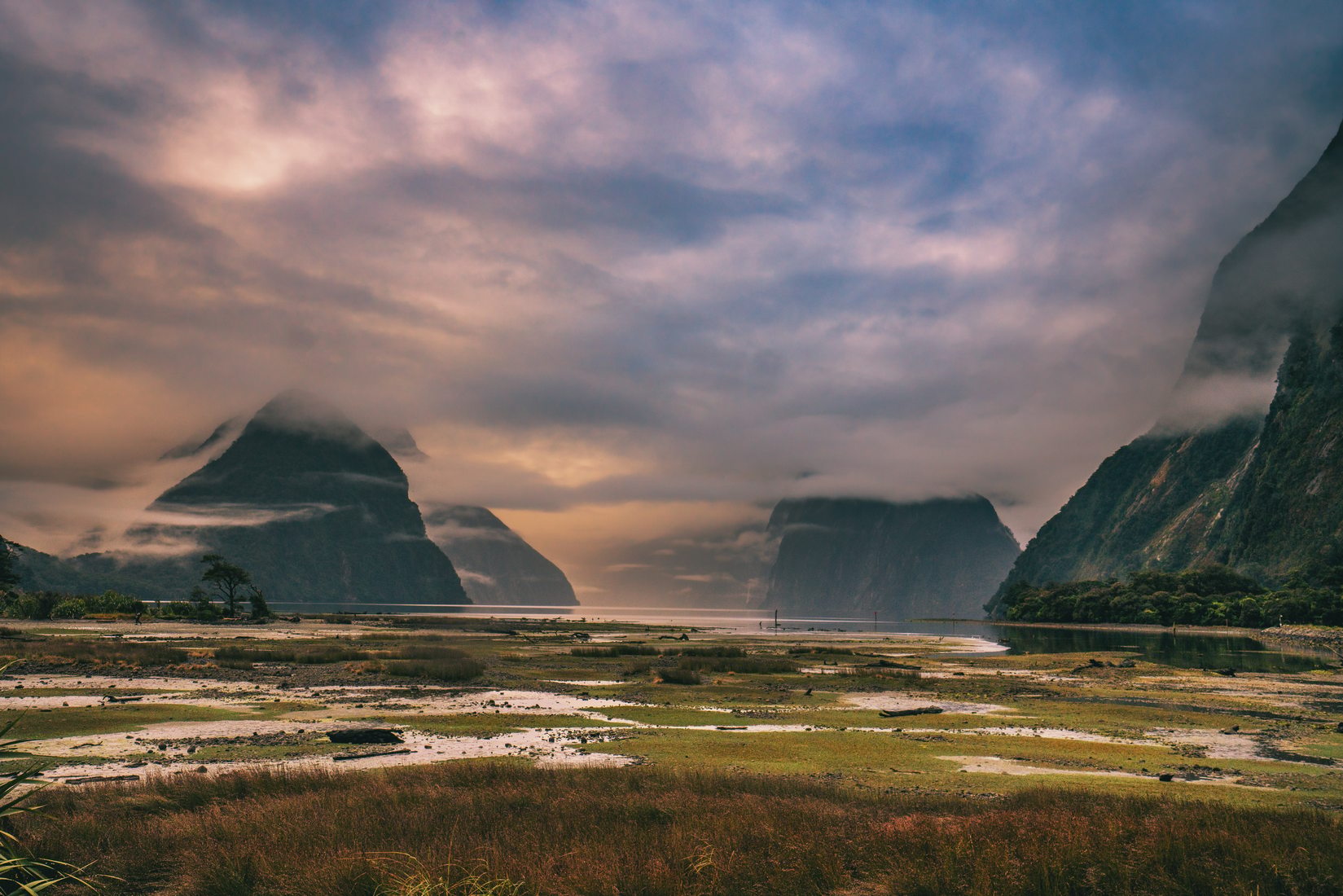 Milford Sound with logs, South Island, New Zealand