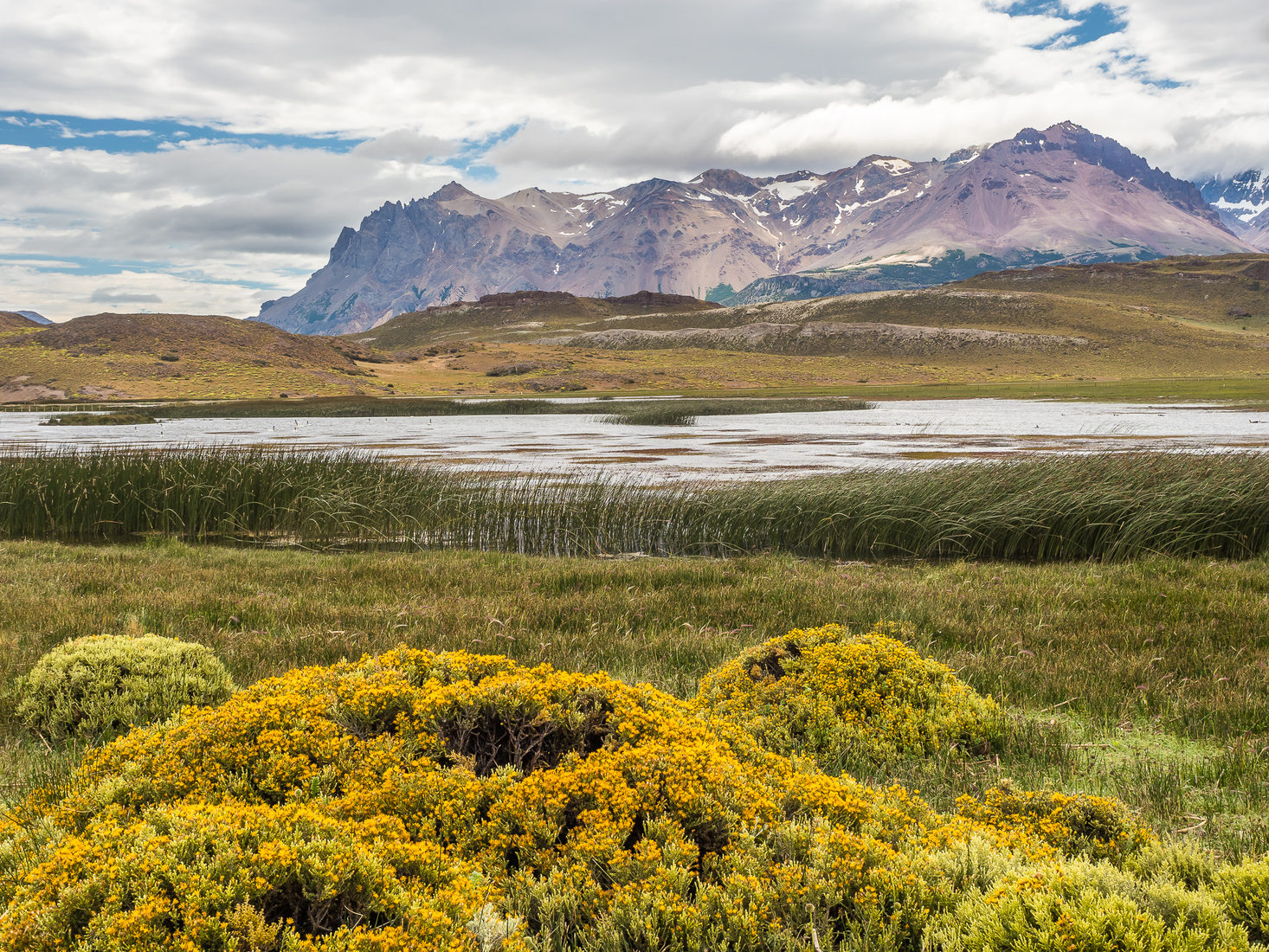 Rio Ghio Wetlands and Mountain View, Chile