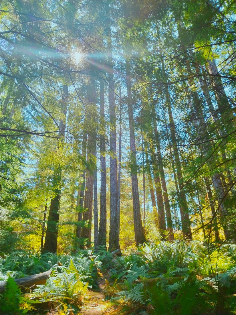Quadra Island, Canada