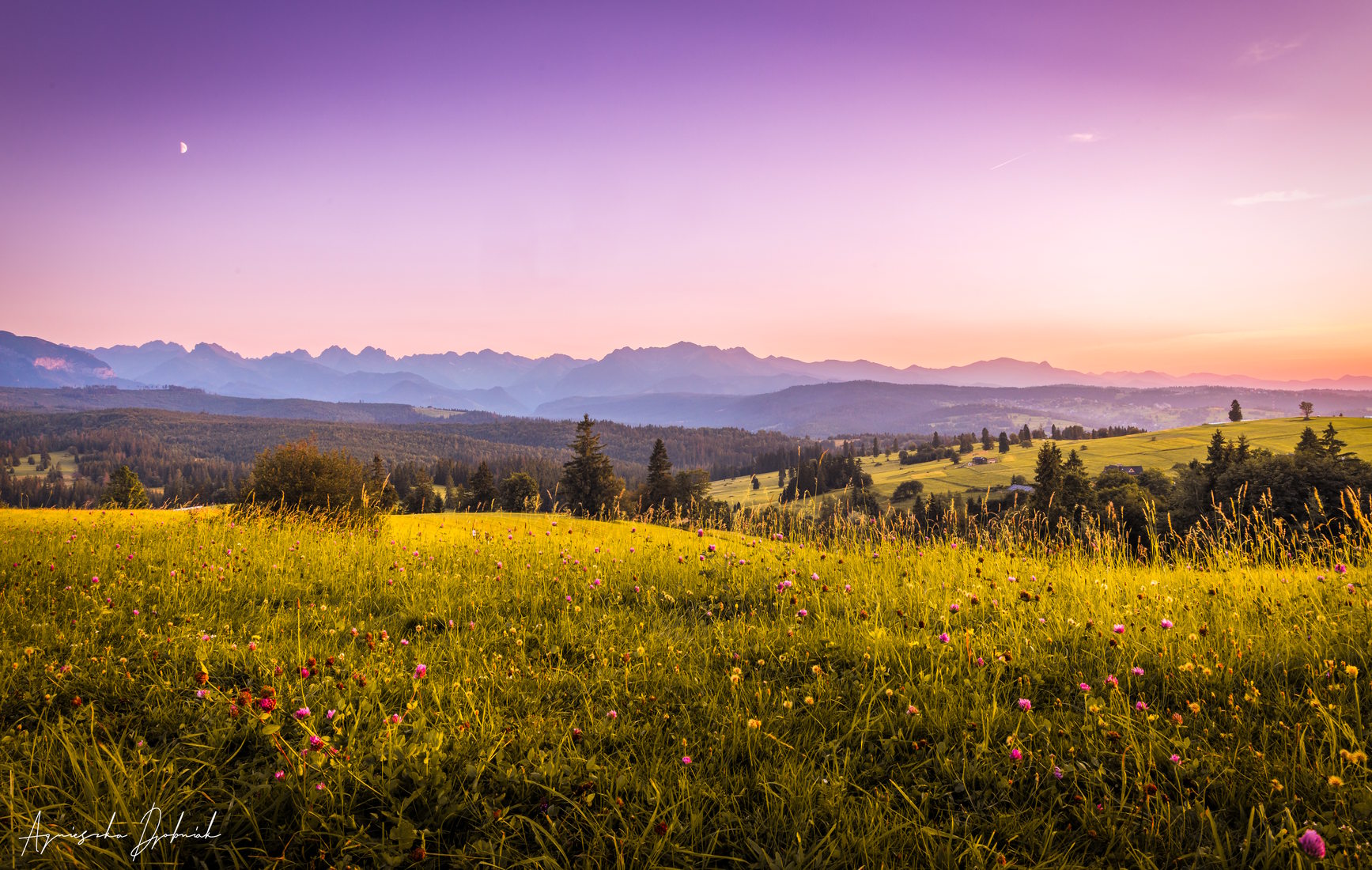 Tatra Mountains from Łapszanka Pass, Poland, Poland
