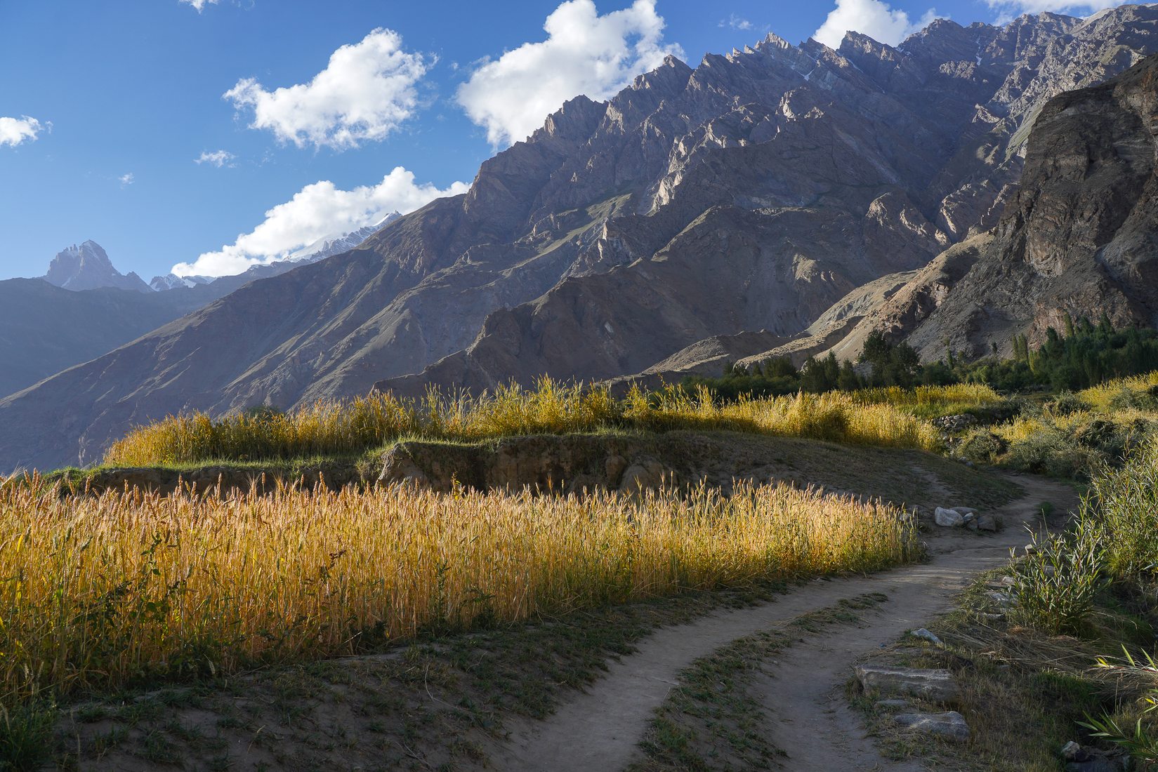 Around Askole, Pakistan