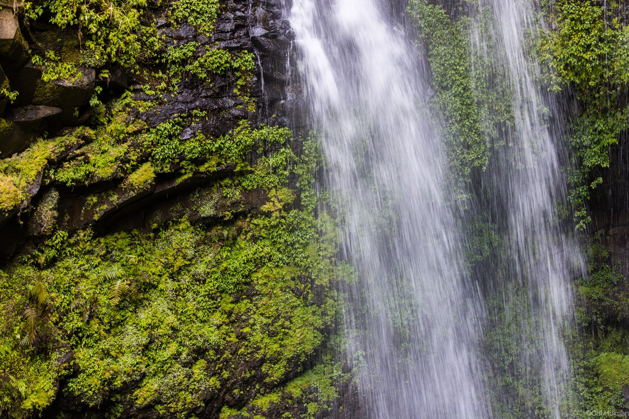 Top 7 Photo Spots at Amber Mountain in 2023