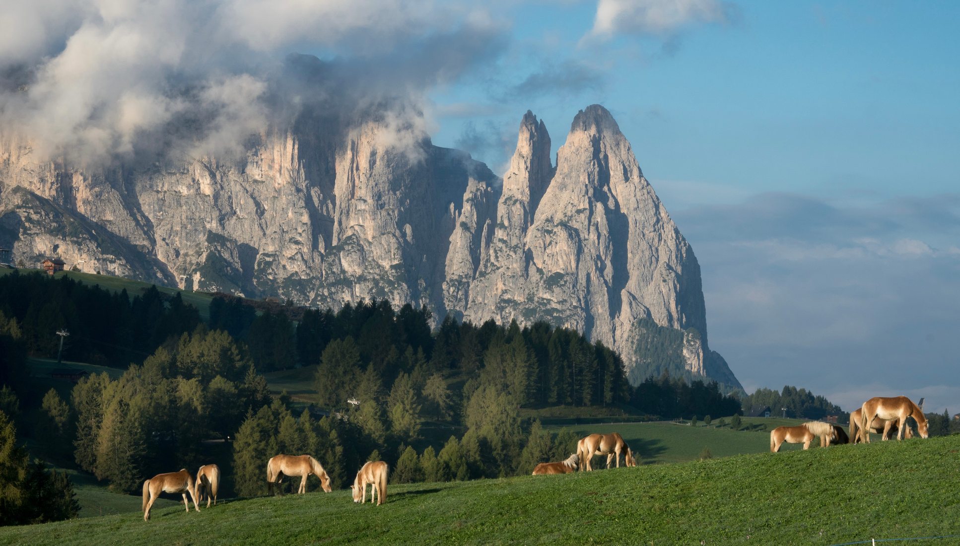 Seiser Alm, view of Santnerspitze, Italy