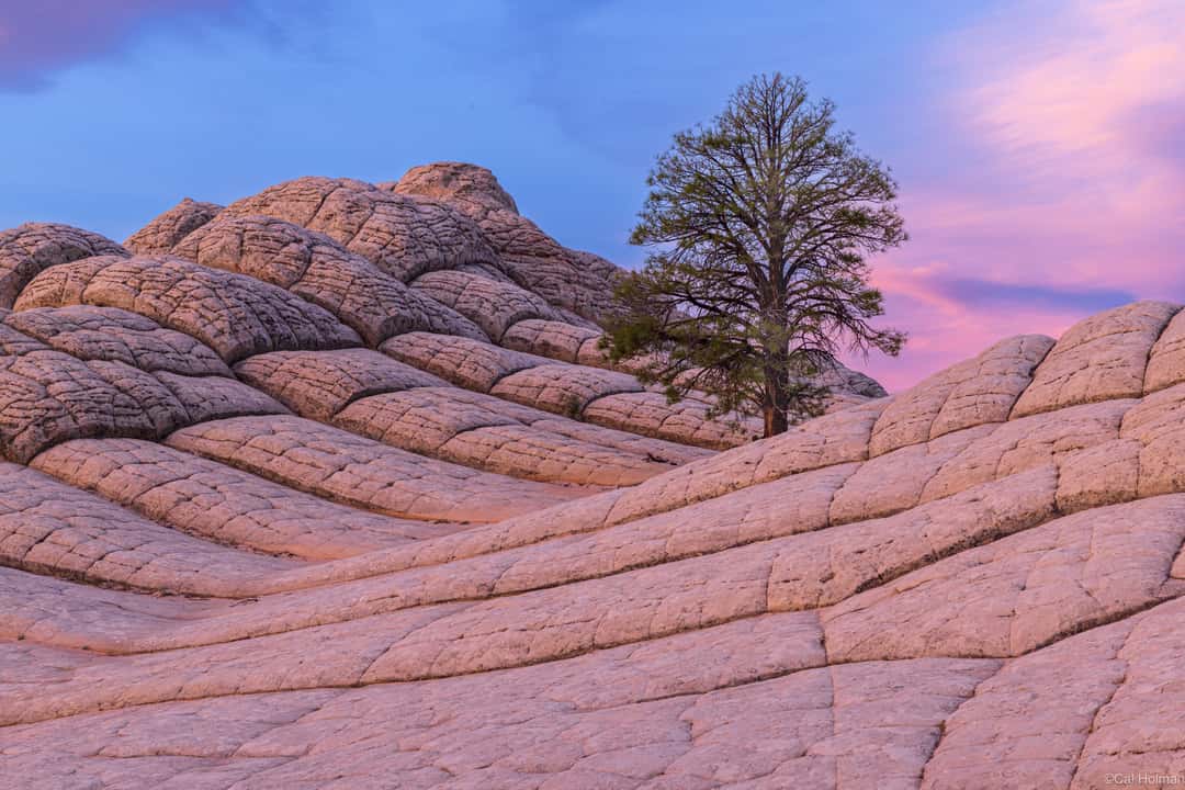 White Pocket, USA