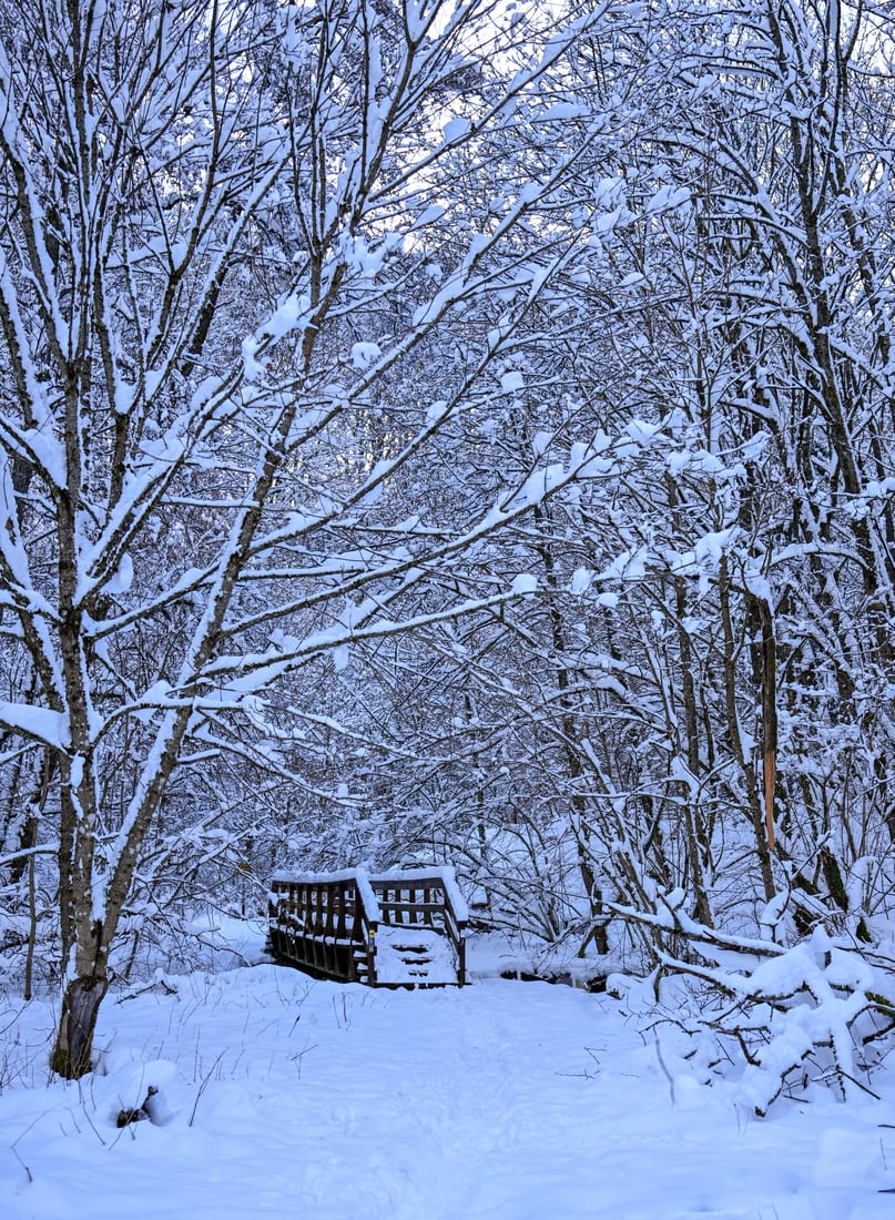 Bacher Lay, Germany
