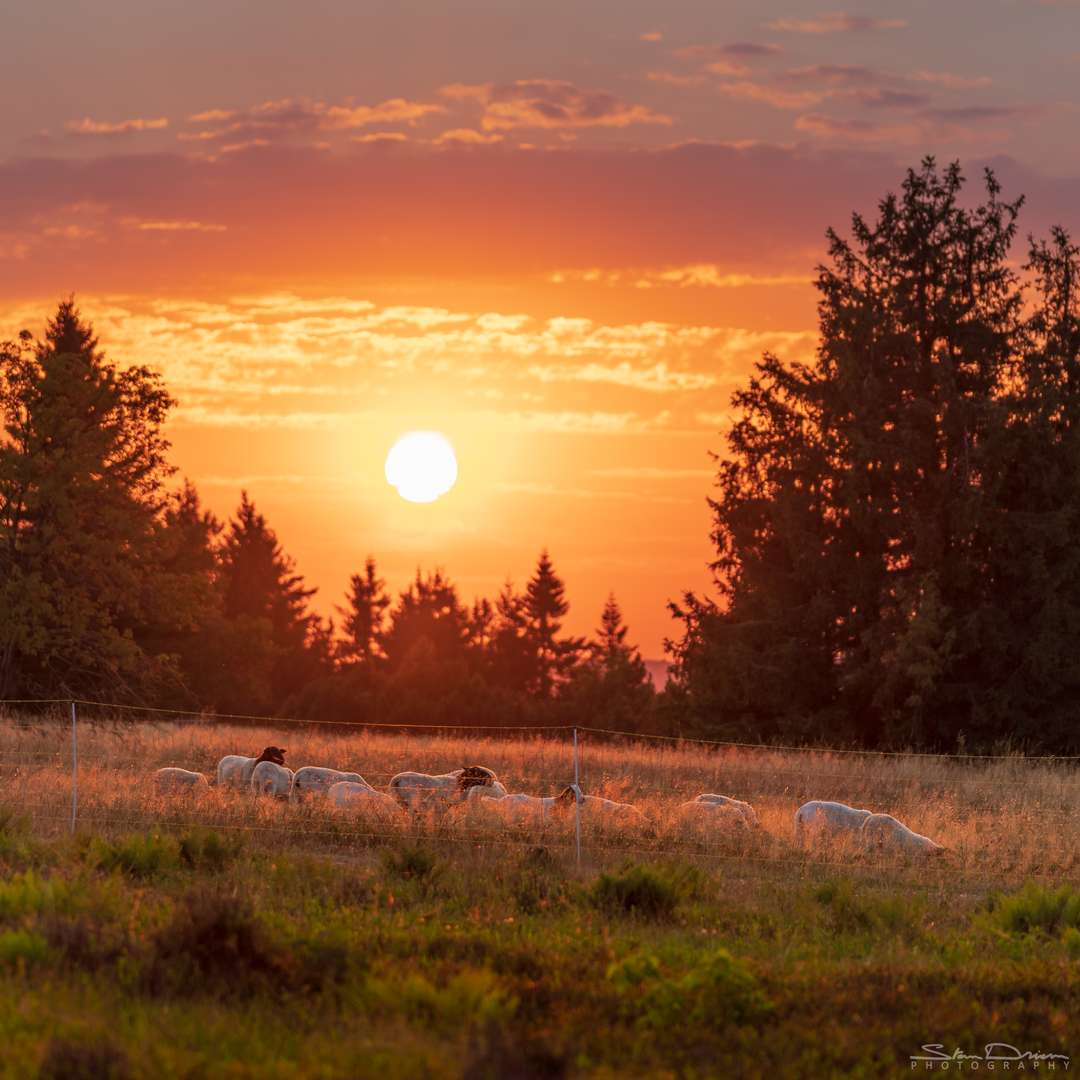Sunset at Kahler Aster, Germany