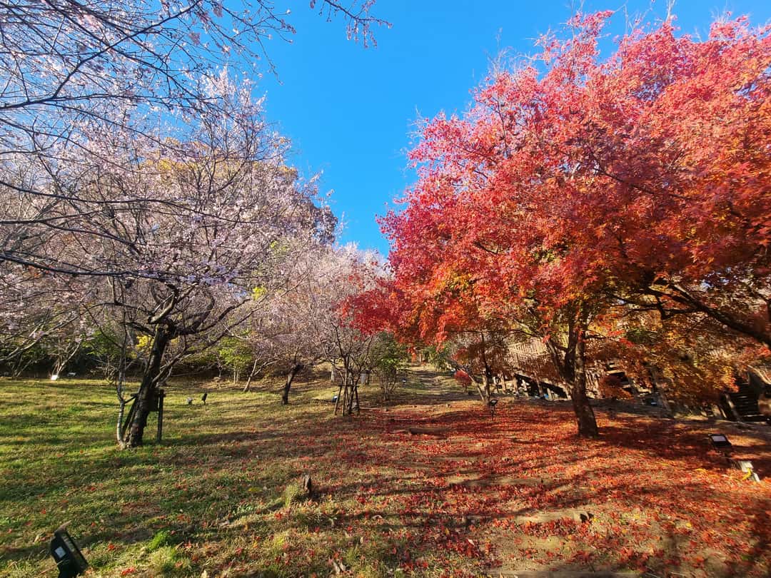 Municipal Jyoumine park, Japan