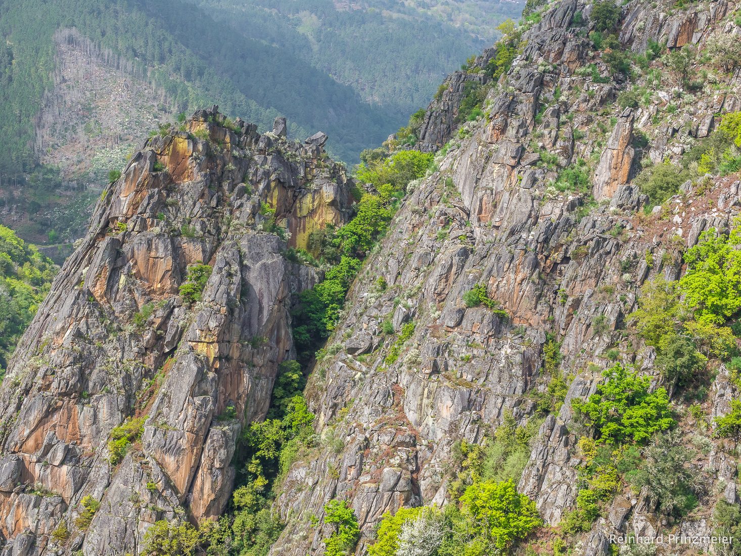Canyño del Sil, Spain