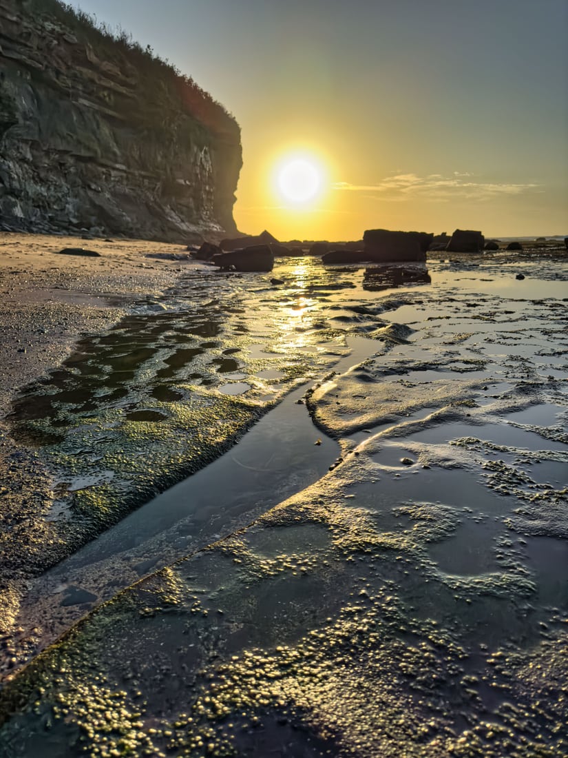 Mona Vale Headland, Bongin Bongin Beach, Mona Vale, Australia