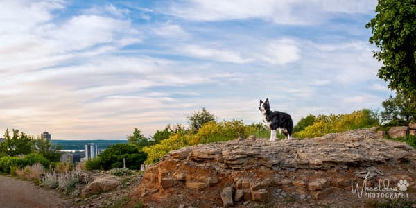 Top Photo Spots at Hamilton downtown in 2024