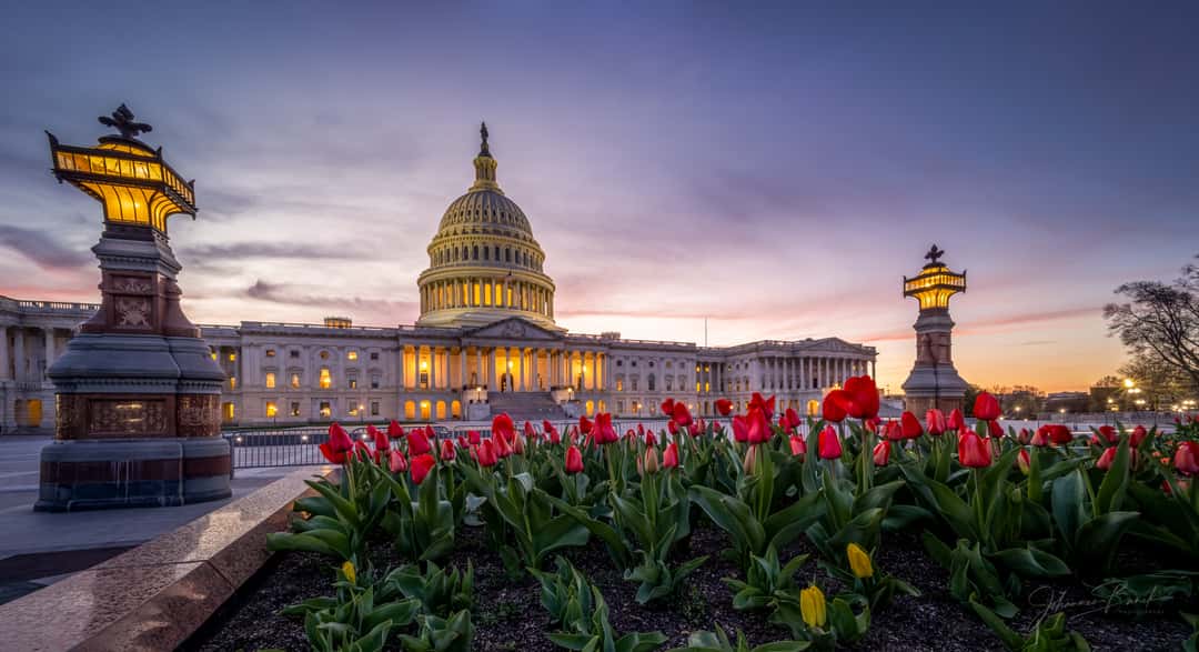 Washington DC - Capitol, USA