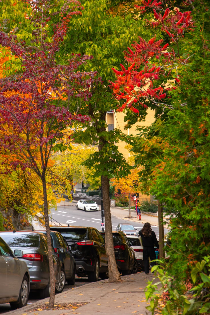 Mount Royal Park, Canada