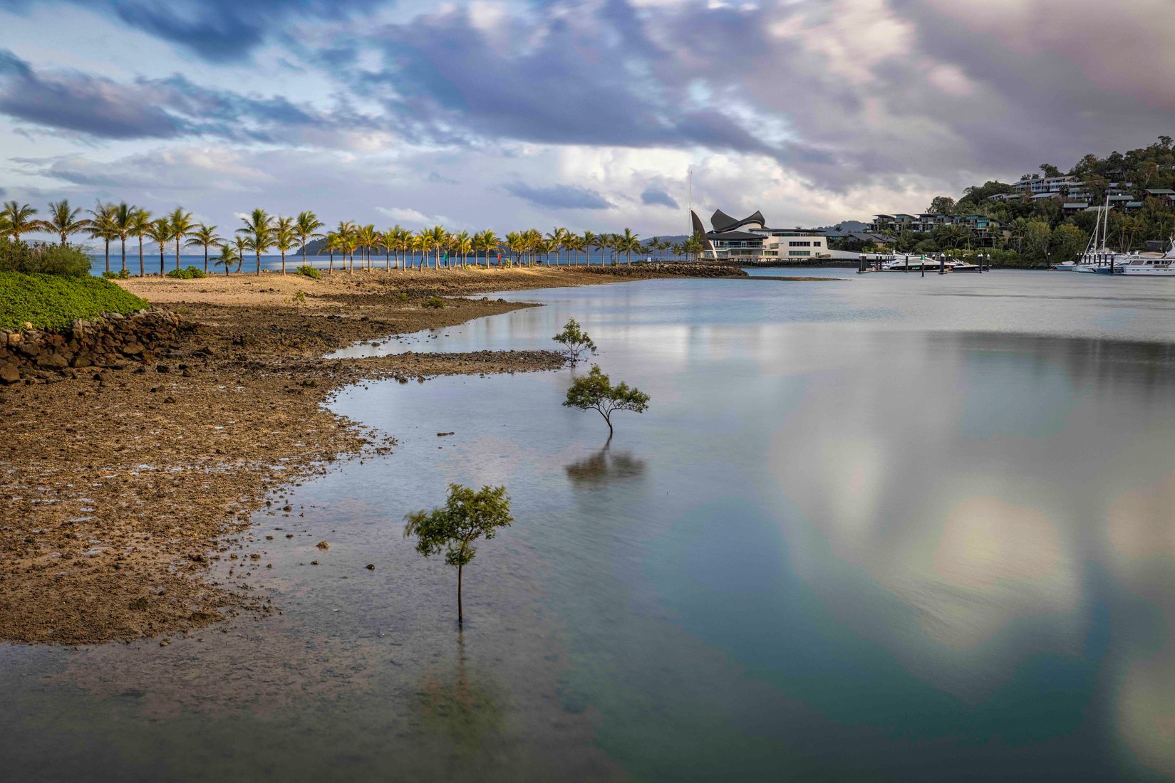 Three Trees, Hamilton Island, Queensland, Australia