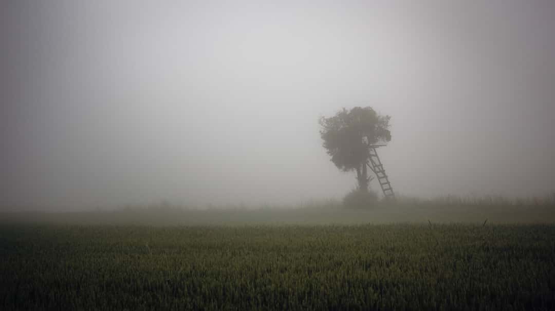 veld - Top Spots for this Photo Theme